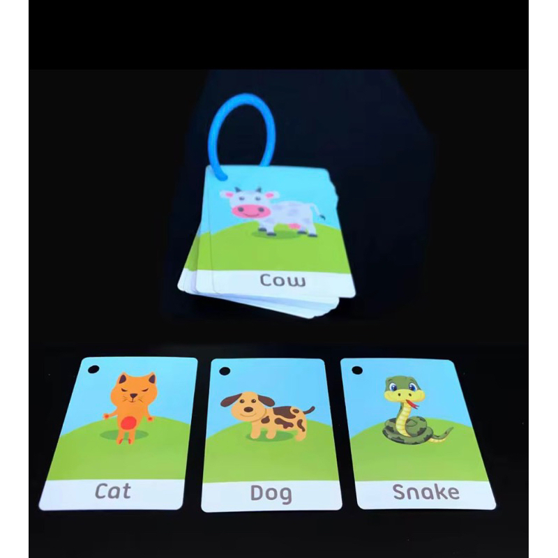 FLASH CARD with Ring and Case: ABC, Colors, Shapes, Numbers, Body Parts ...