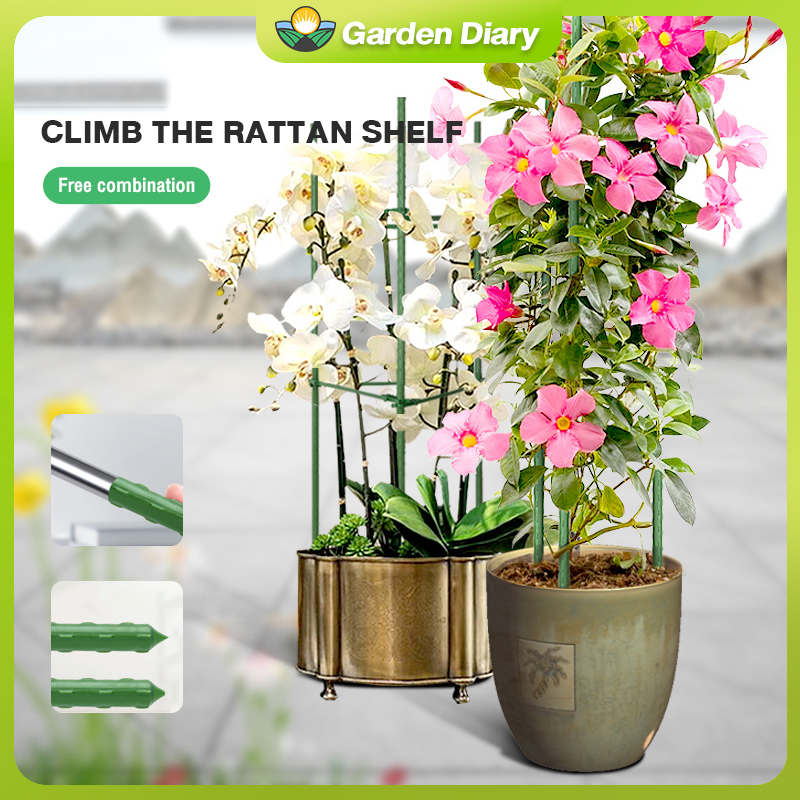 Flower trellis climbing pergola tomato monthly support frame planting ...