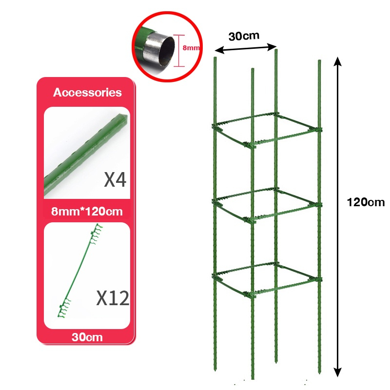 Flower trellis climbing pergola tomato monthly support frame planting ...