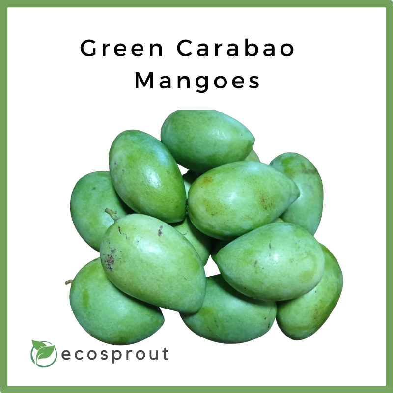 Fresh Green Carabao Mangoes | KG | Fresh Vegetables | Fresh Fruits | Groceries | Shopee Philippines