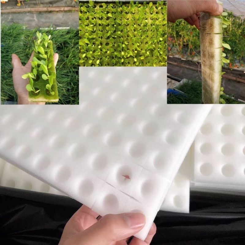 Rockwool cubes/Soilless hydroponic vegetables nursery sponge ...
