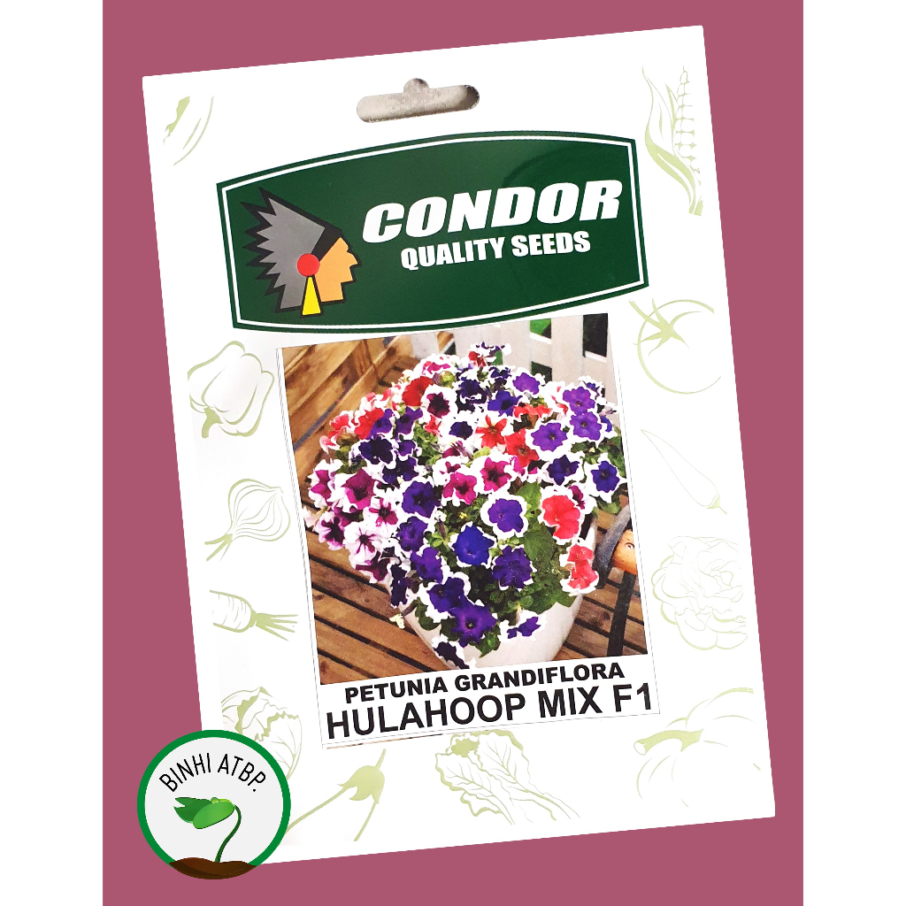 Condor Petunia Grandiflora Hulahoop Mix F1 Flower Seeds (60 Seed Pack ...