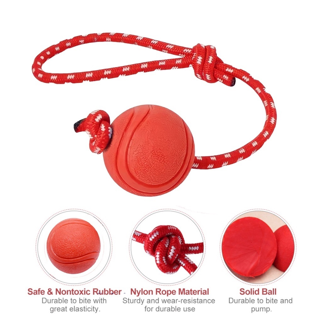 6pcs Solid Indestructible Rubber Bite Ball With Rope Chew Toy | Shopee ...
