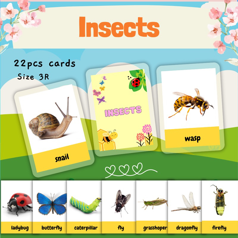 Wild animals insects farm animals sea animals educational flash cards ...