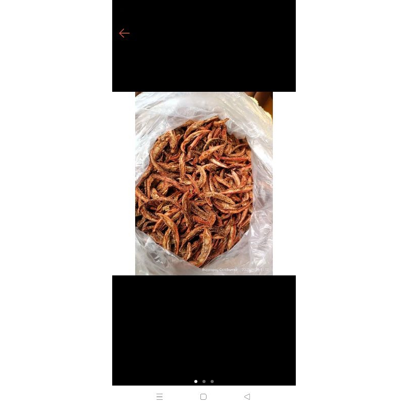 DRIED KAMIAS/TUYONG KALAMYAS (2kilos take ALL) | Shopee Philippines