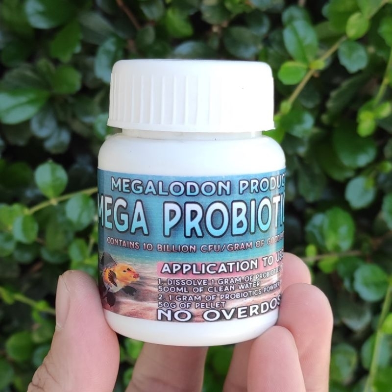 Mega Probiotics + (by: megalodon products) enhancer for all types of ...