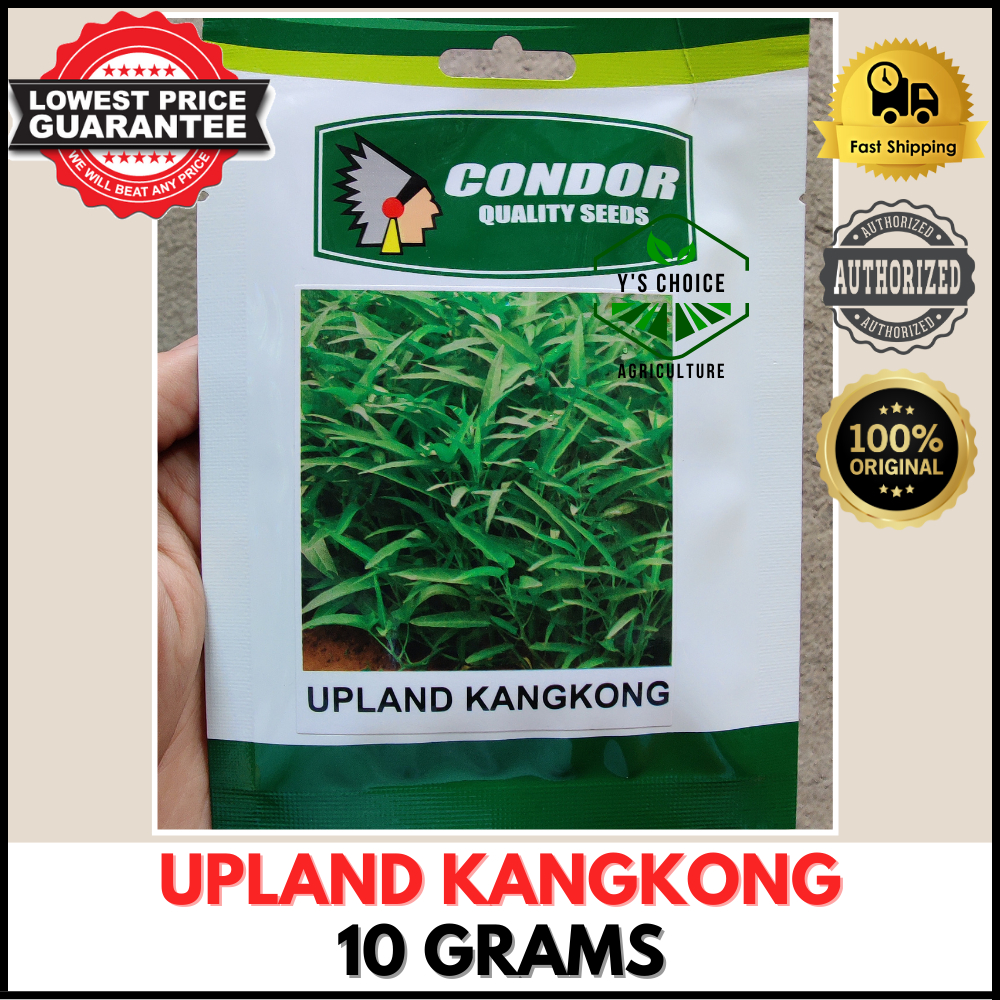CONDOR SEEDS - KANGKONG SEEDS - UPLAND 10 GRAMS | Shopee Philippines
