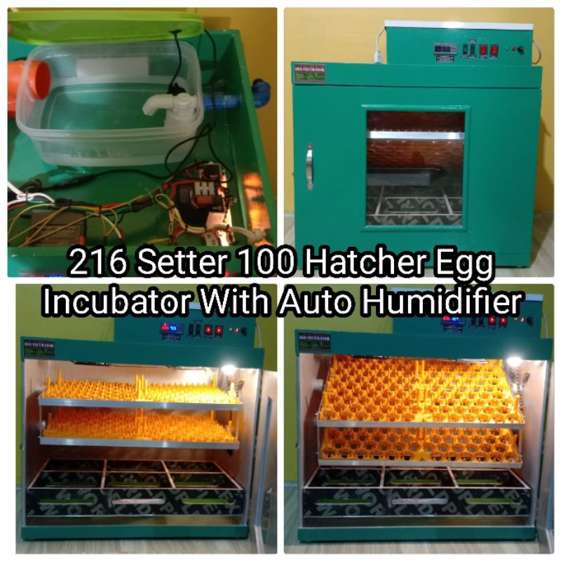 216 Setter 100 Hatcher Automatic Egg Incubator W/O Humidifier | Shopee ...