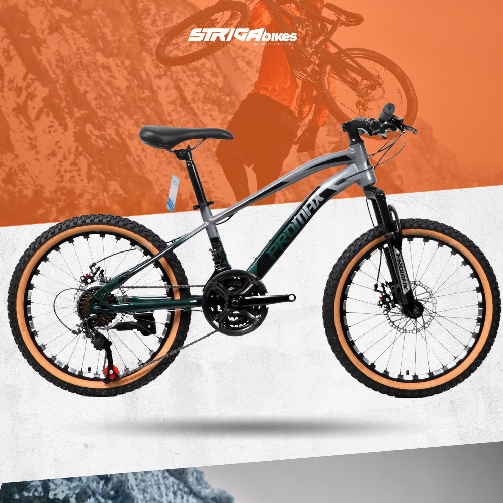 Promax PM5 Mini MTB Size 20 2023 | Shopee Philippines