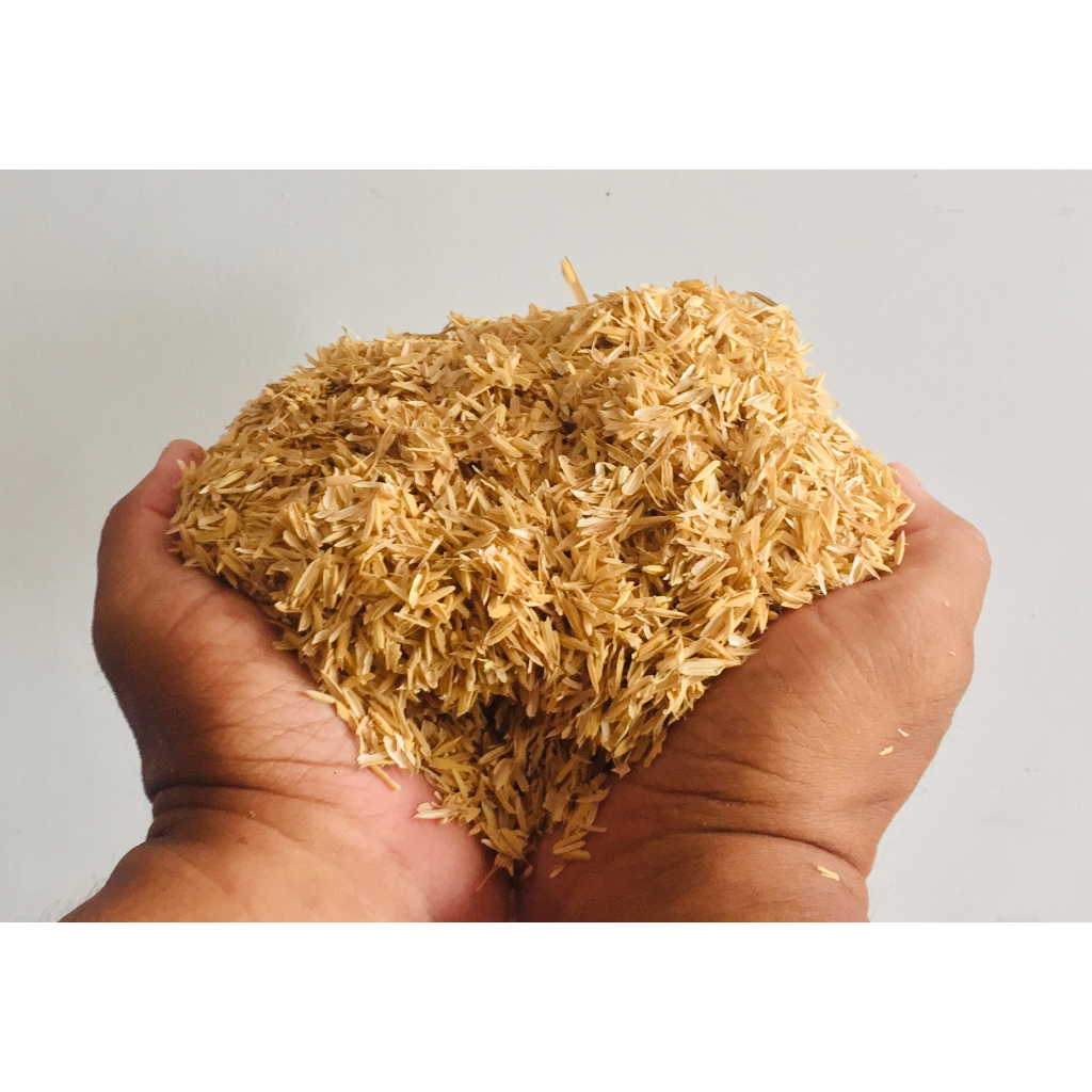1 KILOGRAM PURE ORGANIC FRESH RICE HULL READY TO USE FOR PLANTS IPA ...