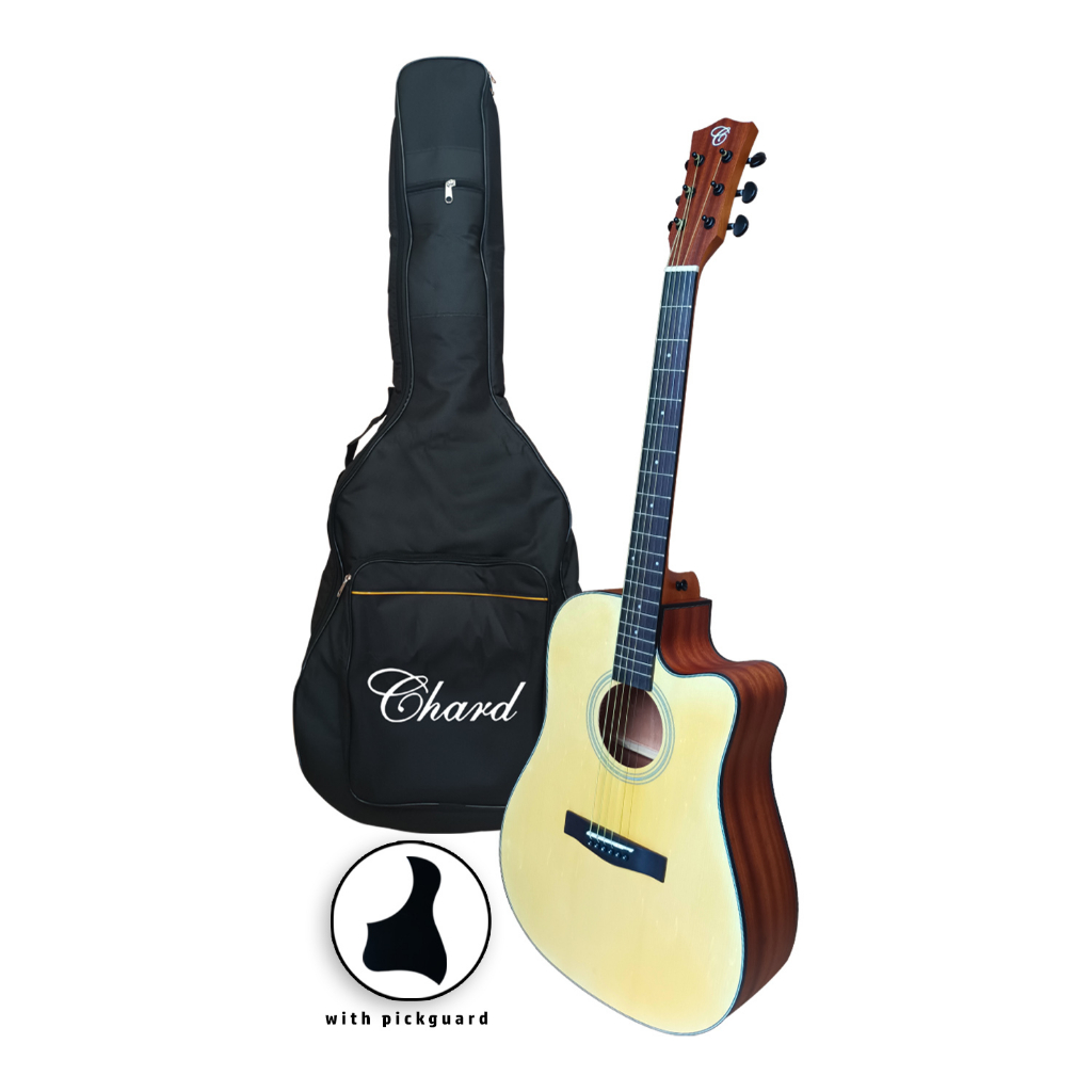 Chard F4140C Acoustic Guitar with Bag (6-string full scale guitar ...
