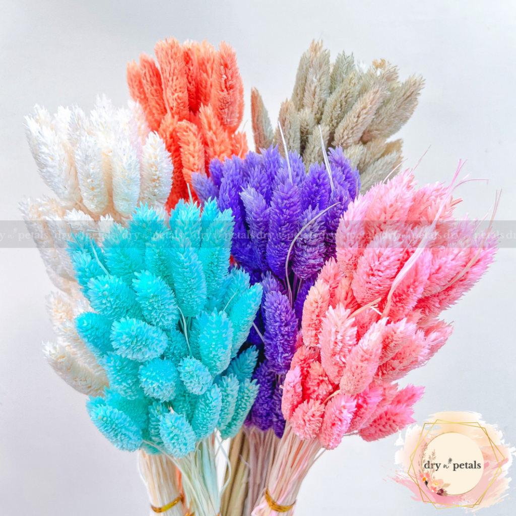 Dried Gem Grass (1 stem) Natural Dried Flower Cake Topper DIY Bouquet ...
