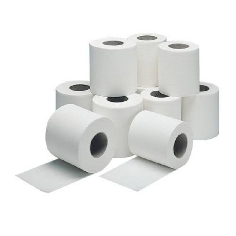 Tissue Rolls 2ply 12s | Shopee Philippines