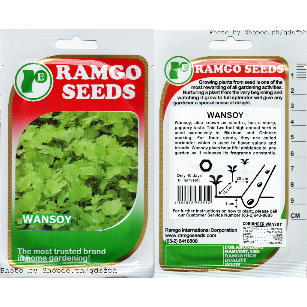 Ramgo Seeds Sold Per Pack Per Variety - Alugbati Cabbage Bunching Onion ...