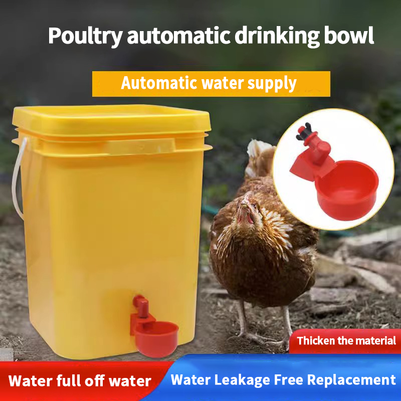 Chicken Cup Waterer Chicken Feeder Poultry Drinking Chicken Cup Waterer ...