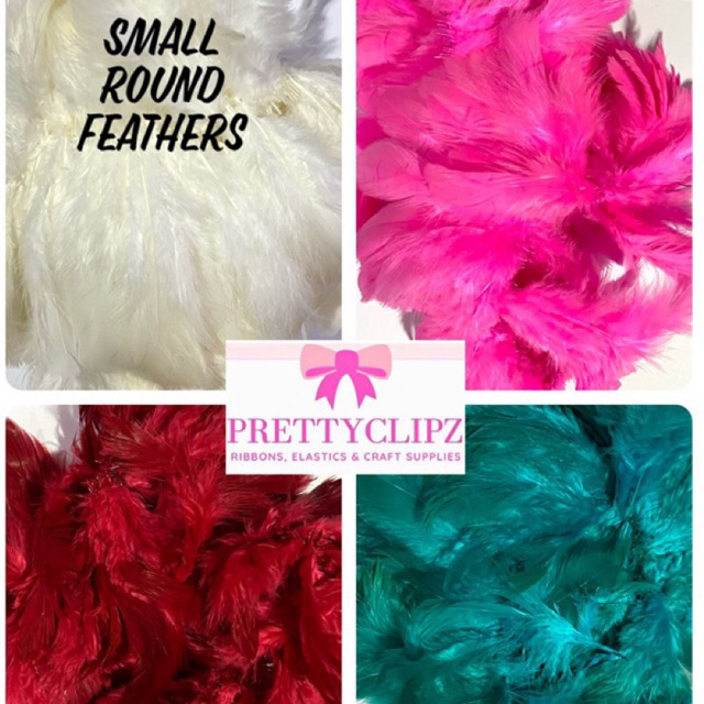 Small Round Feathers 25 Pieces | Shopee Philippines