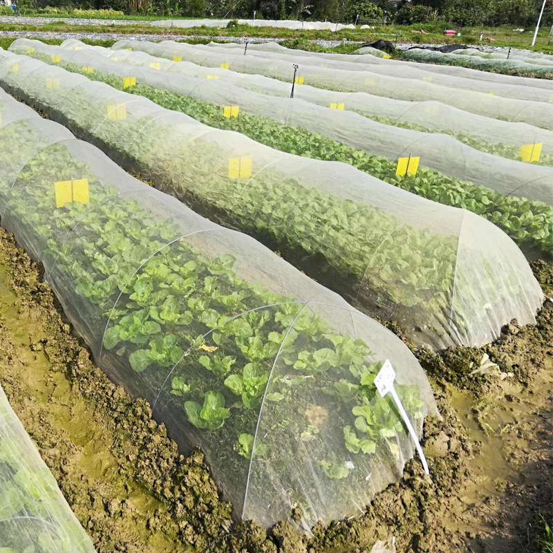 Horticultural insect repellent net 60 mesh Potted vegetable insect ...