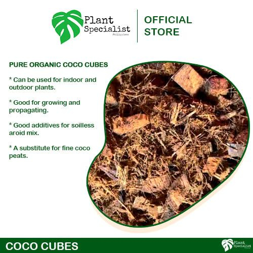 Coco Cubes ( Pure Organic soil ) | Shopee Philippines