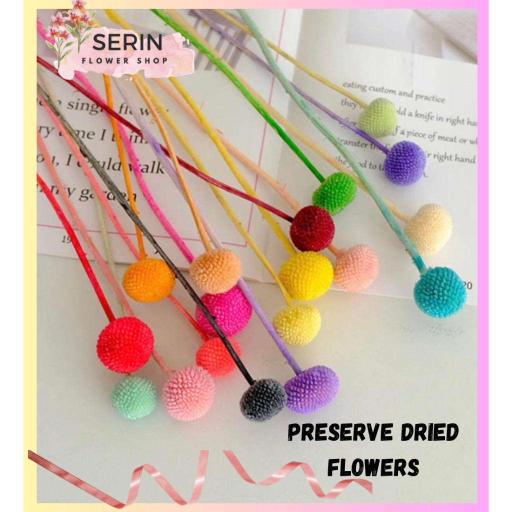 5pcs Craspedia Dried Flower Preserved Gold Orbs Golden Ball Bouquet ...