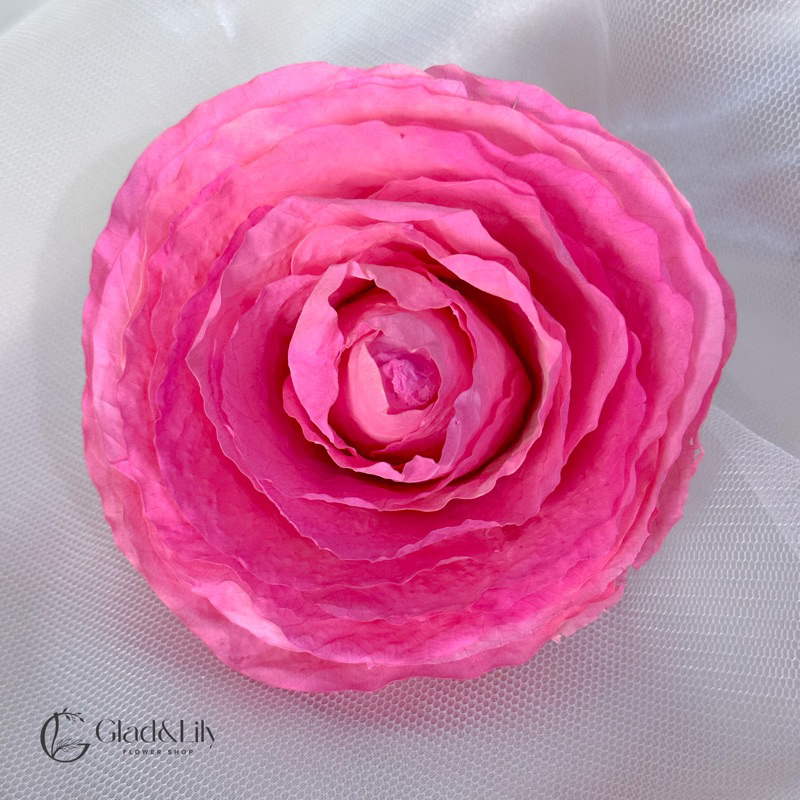 Dried Fossilized Rose (Large) | Shopee Philippines