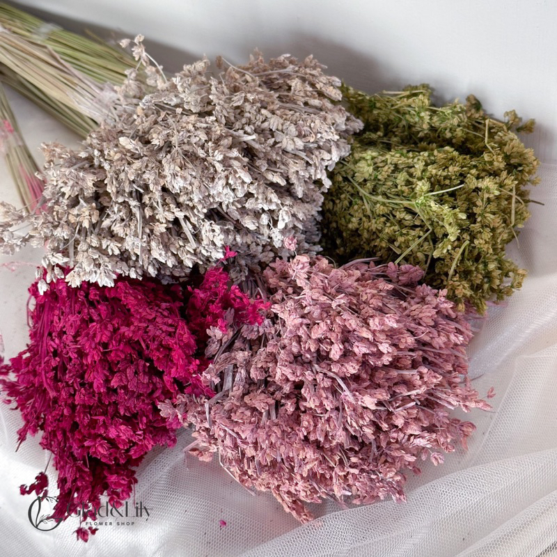 Dried Local Mini Flowerettes | Shopee Philippines