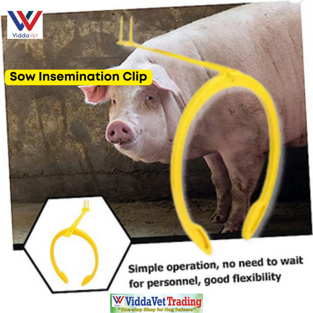 PIG AI BUDDY Pigs Sow Clips Artificial Insemination Big size pig ...