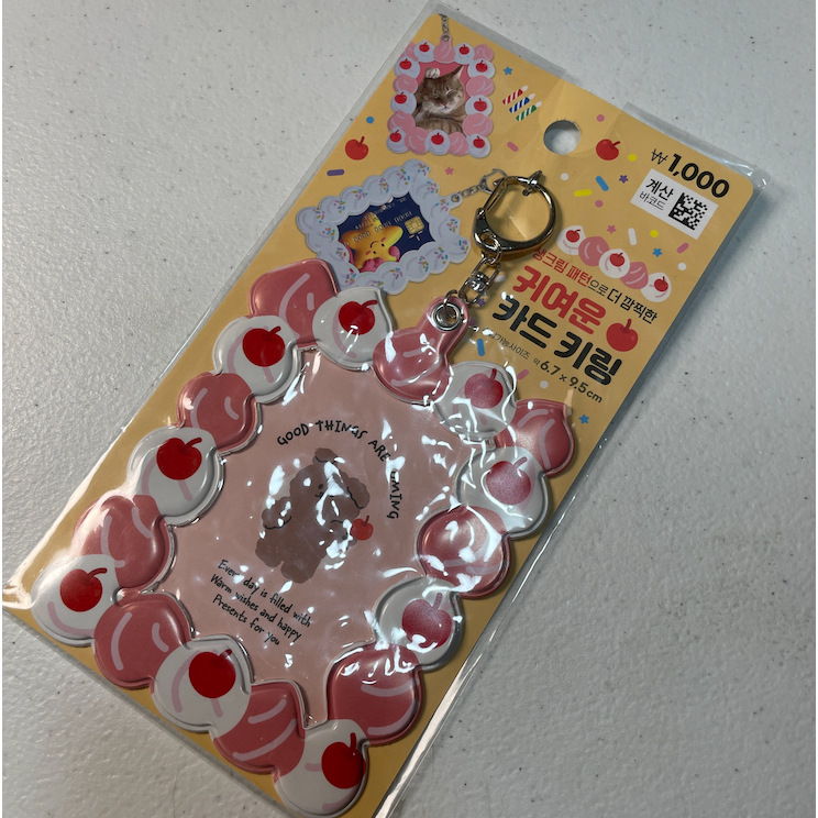 Daiso Korea Photocard Holder Keyring | Shopee Philippines