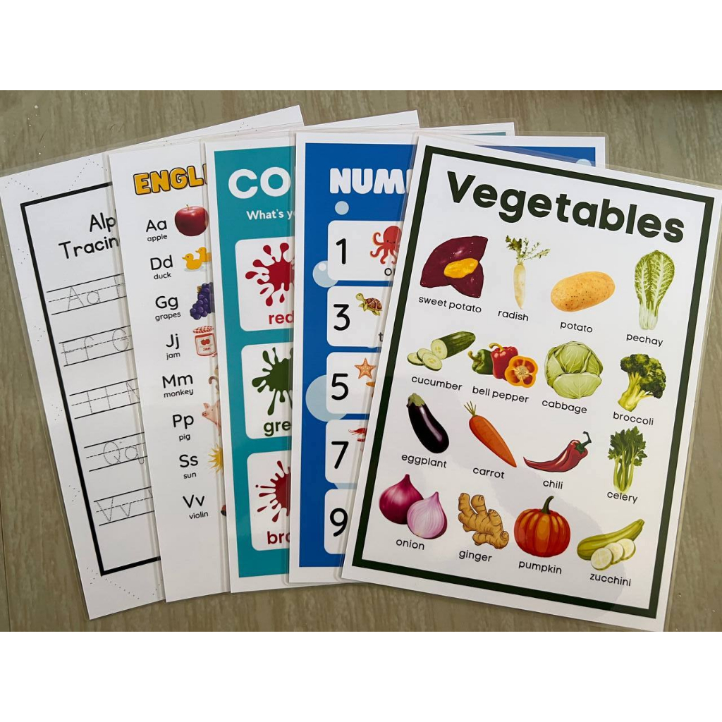 BUNDLE OF 5 Educational learning materials for kids Laminated A4 Size Chart 125MIC | Shopee ...