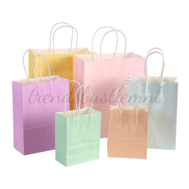 TBM 12 Pieces MEDIUM Pastel Plain Color Paper Bags/ Lootbags (21cm*11cm ...