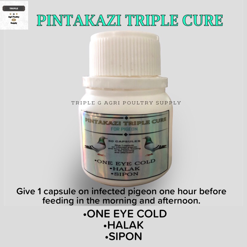 PINTAKAZI TRIPLE CURE For Pigeon- One eye cold, Halak at Sipon | Shopee ...