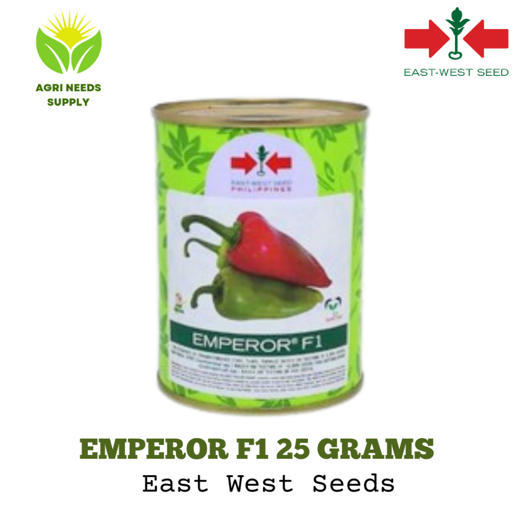 Emperor F1 Sweet Pepper East West Seed (25gms) | Shopee Philippines