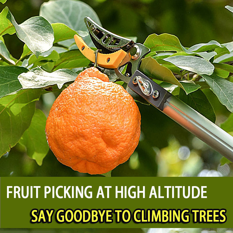 Fruit Picker Pruning Garden Secateurs Tree Pruning Shears Branch ...