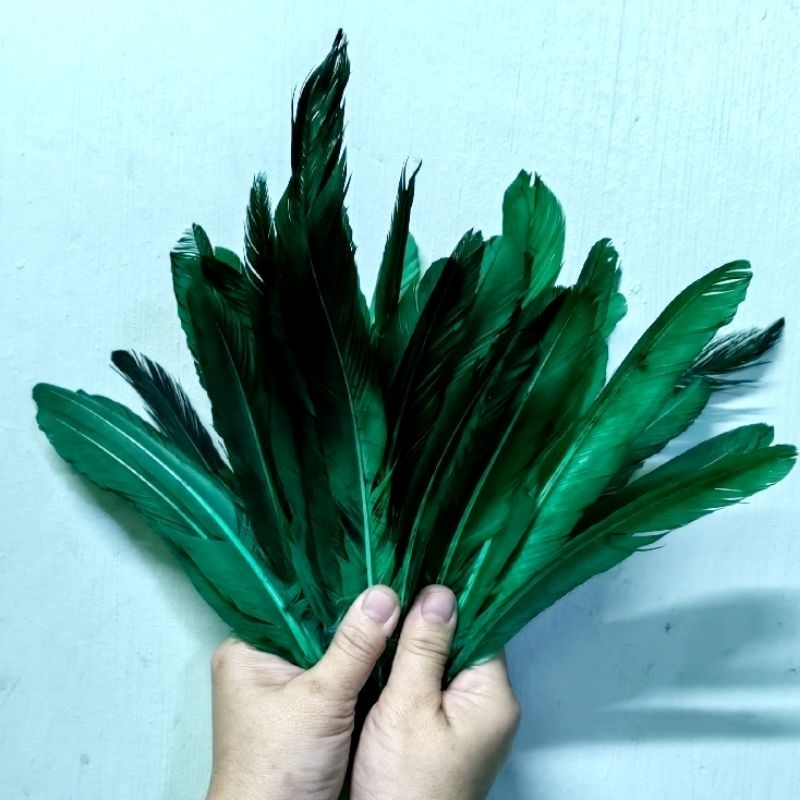 30 grams CHICKEN Balahibo Feather PAKPAK for DIY crafting decorations ...