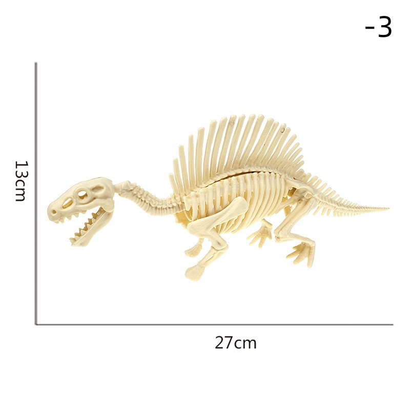Children DIY Handmade Dinosaur Fossil Assembly Skeleton Model ...
