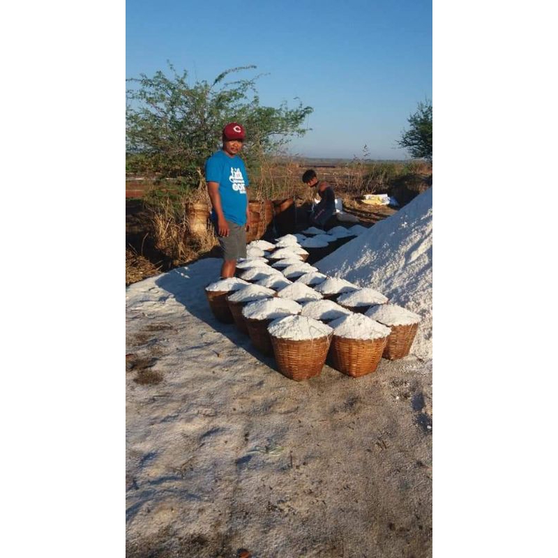 Organic Sea Salt from Dasol Pangasinan 2kg | Shopee Philippines