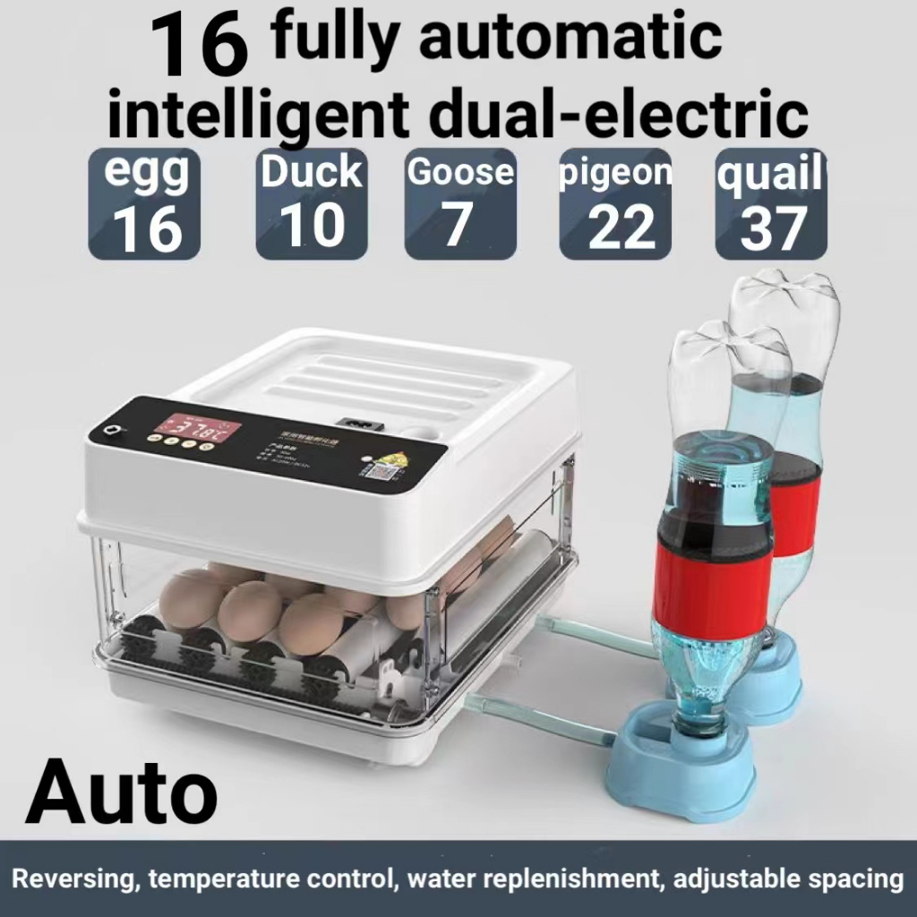 Warranty/Incubator For Egg/Fully Automatic Mini Egg Incubators/Digital ...