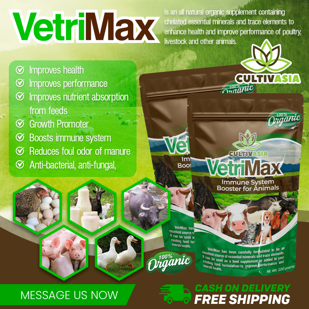 VetriMax, 100% Nutrients Absorption and Booster Supplement for All Pets ...