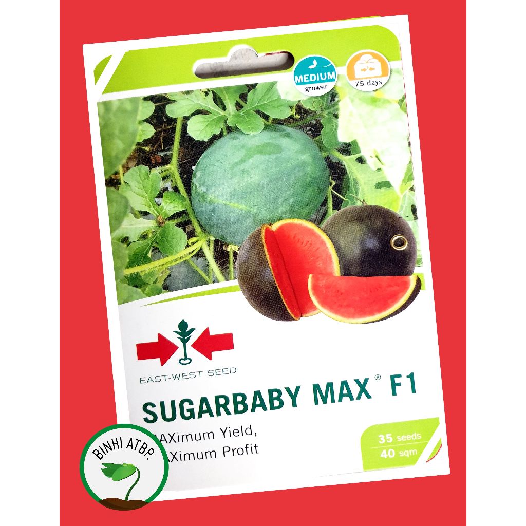 East-west Sugar Baby Max F1 Watermelon Seeds (1 Pack - 35 Seeds ...