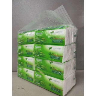 tissue - Best Prices and Online Promos - Apr 2025 | Shopee Philippines