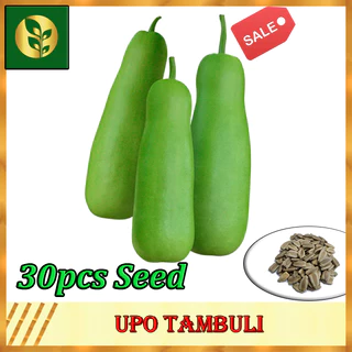 Shop upo for Sale on Shopee Philippines