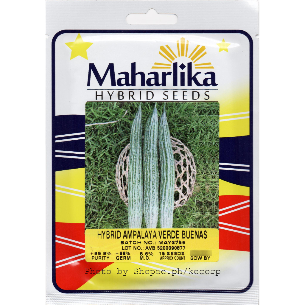 Maharlika Seeds Hybrid Ampalaya Verde Buenas SEED COUNT: 15 SEEDS ...