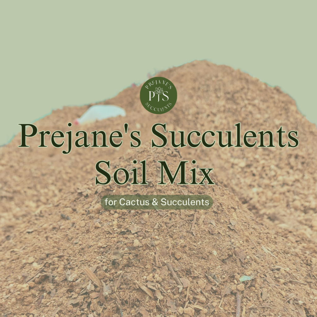 Prejane's Succulents Soil Mix [1kg] | Shopee Philippines