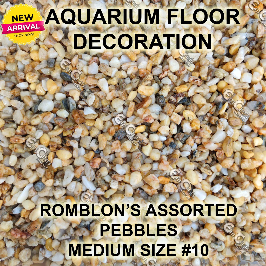 1kg Romblon Assorted Pebbles (MEDIUM SIZE #10 YELLOWISH MIXED) Aquarium ...