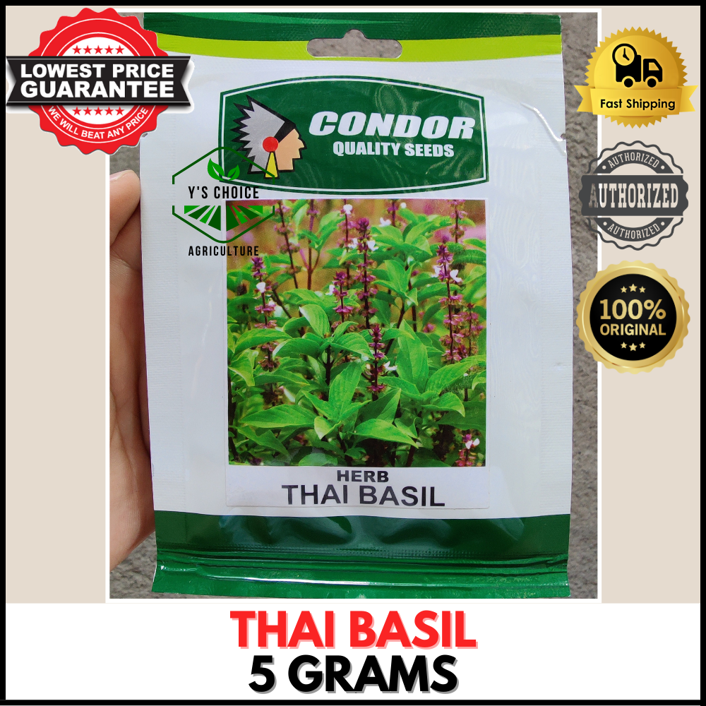 CONDOR SEEDS - BASIL SEEDS - THAI 5 Grams | Shopee Philippines