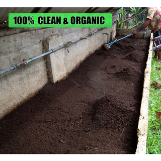 (10KILOS) PURE VERMICAST/HIGH QUALITY/100% Organic and Pure Worm ...