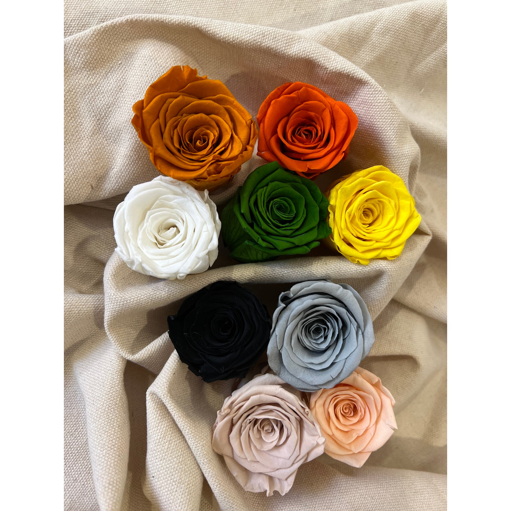 Real Preserved Rose Head Premium Color 2 inch Home decor Bouquets DIY ...