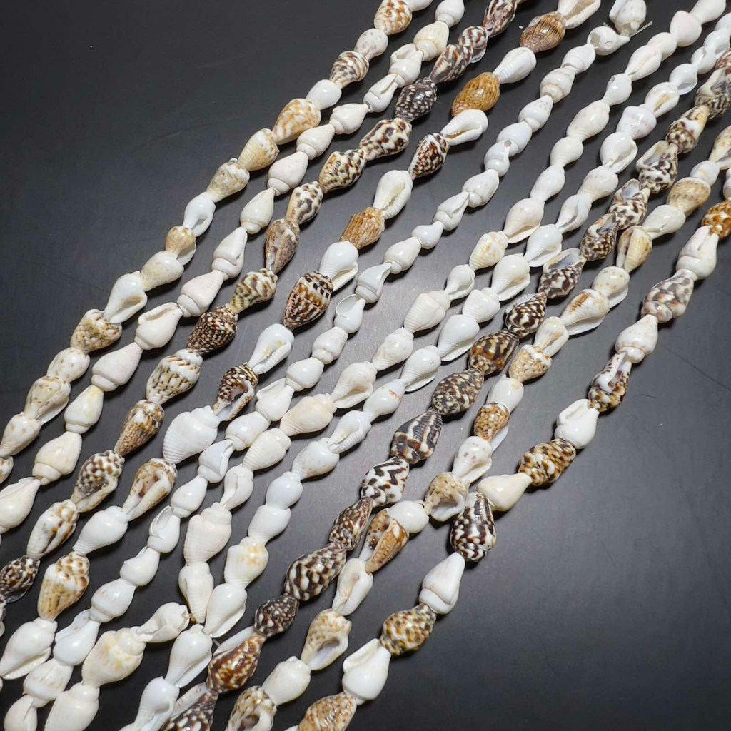 200 pcs 8mm Craft DIY Beads Natural Conch Shell, Sigay Shells bead ...