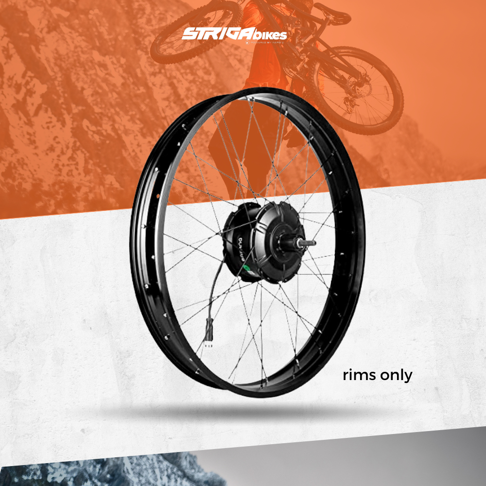 NERO E Pie 1.0 E-Bike Disc Brake Rims Black | Shopee Philippines