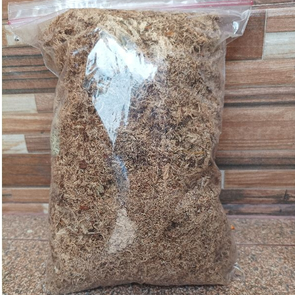 White Sphagnum Peat Moss 50g | Shopee Philippines