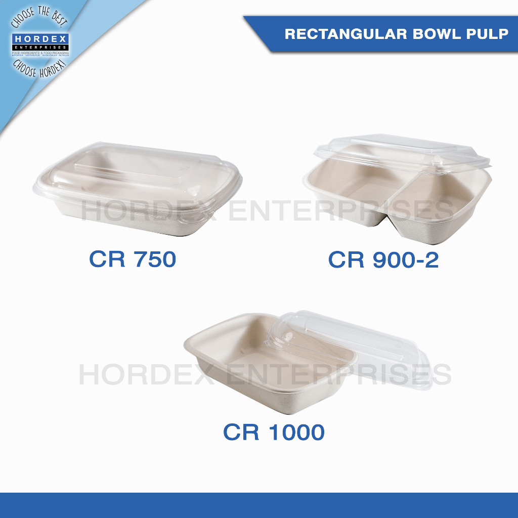 RECTANGULAR BOWL PULP with LID(10pcs) | Shopee Philippines